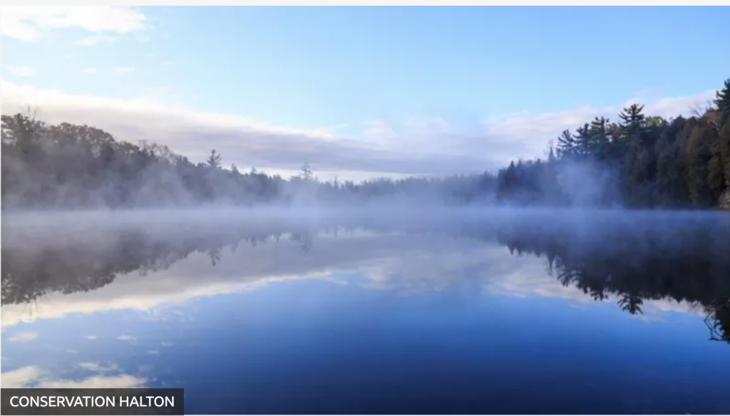 El Popular - El lago en Ontario identificado como la zona cero del ...