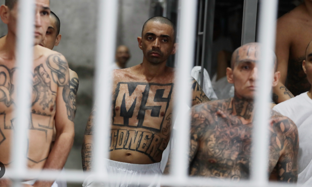 El Popular - La vida dentro de la mega prisión de Nayib Bukele en El ...