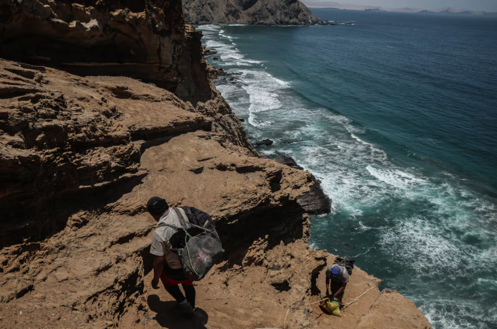 El Popular - Gabriel Franco, la lucha de un pescador de Perú contra ...